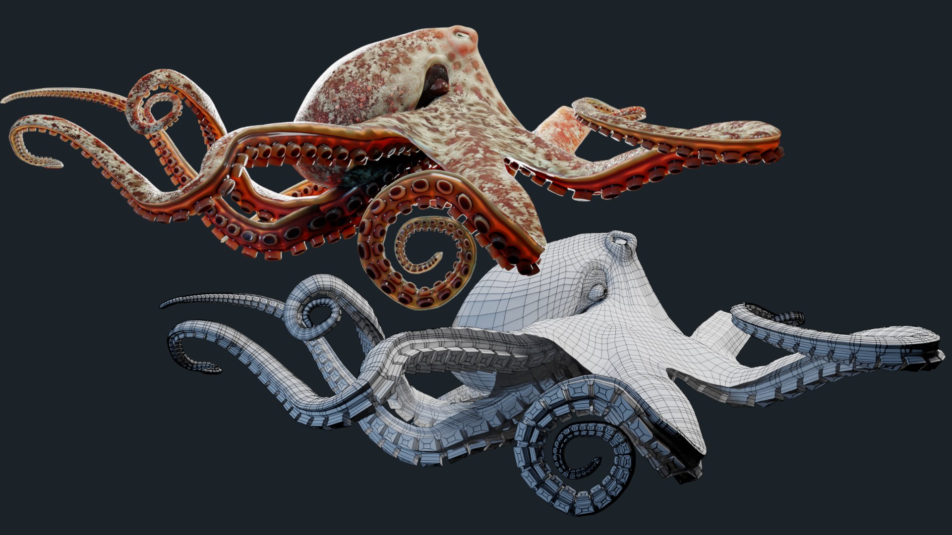 3D Octopus Mega Pack - TurboSquid 2044526
