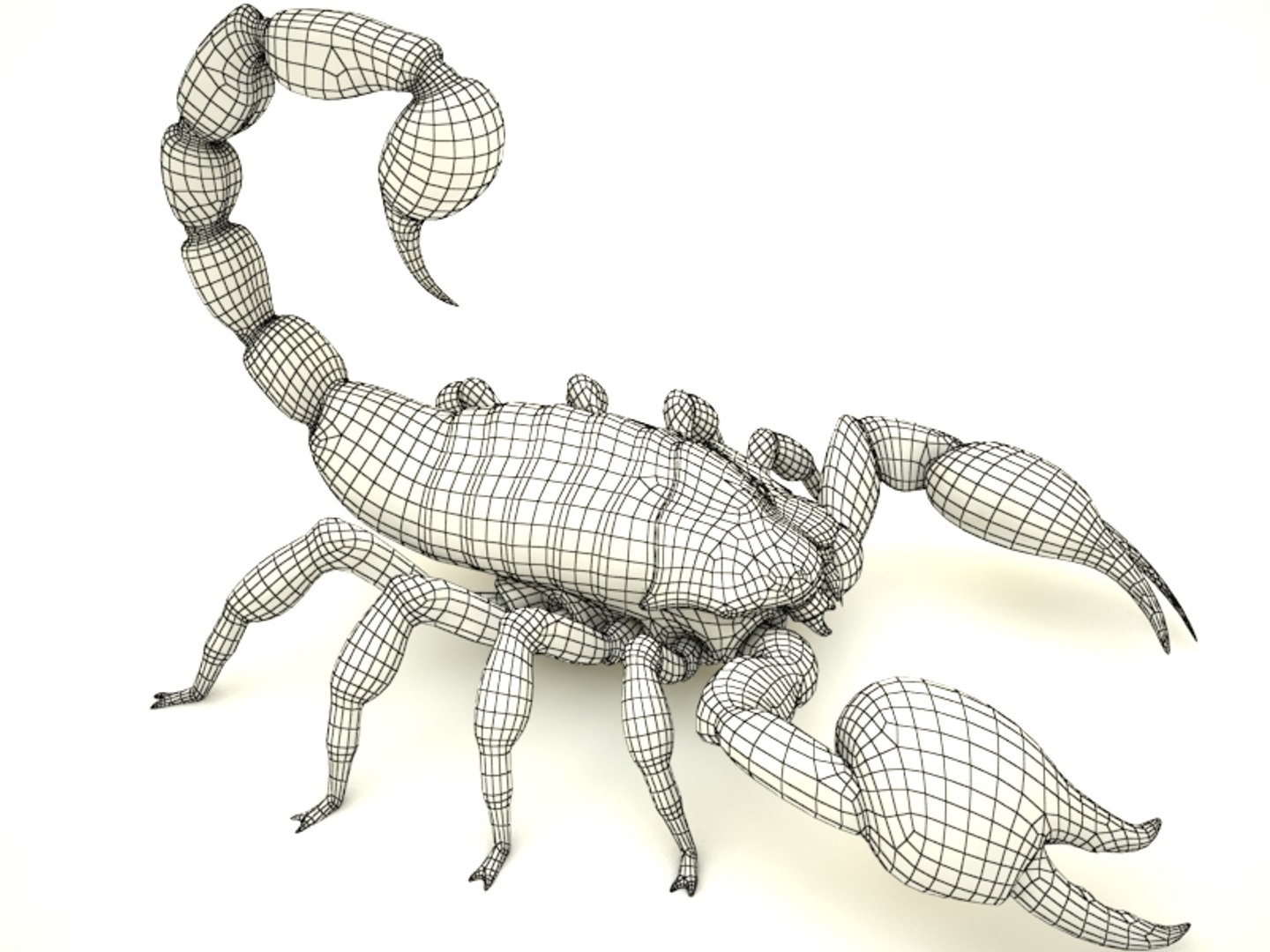 3d model scorpion hdri