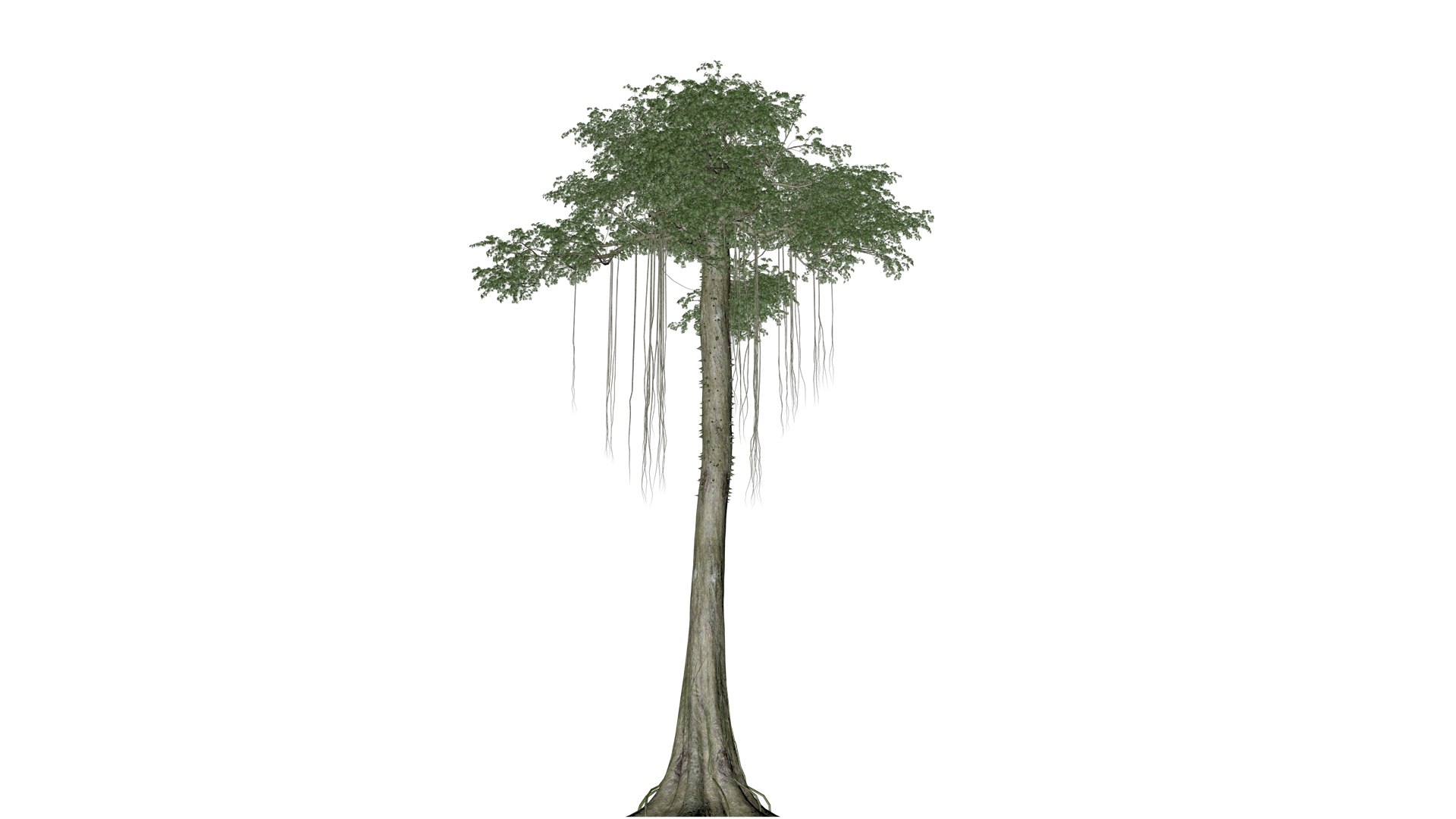 3D Kapok Tree - 03 - - TurboSquid 2376704