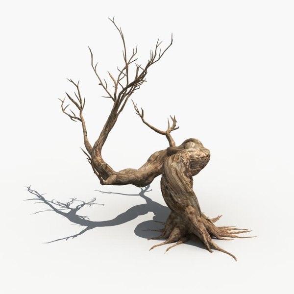 Fantasy Tree 3D Models for Download | TurboSquid