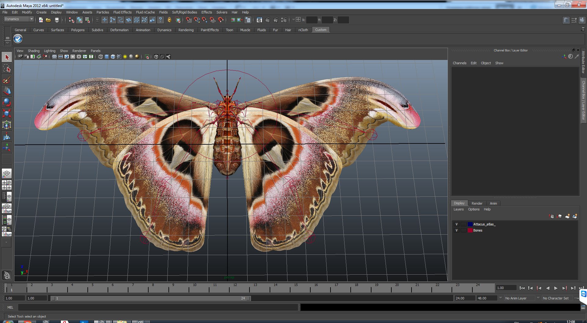 Moths rigged 3D model - TurboSquid 1519404