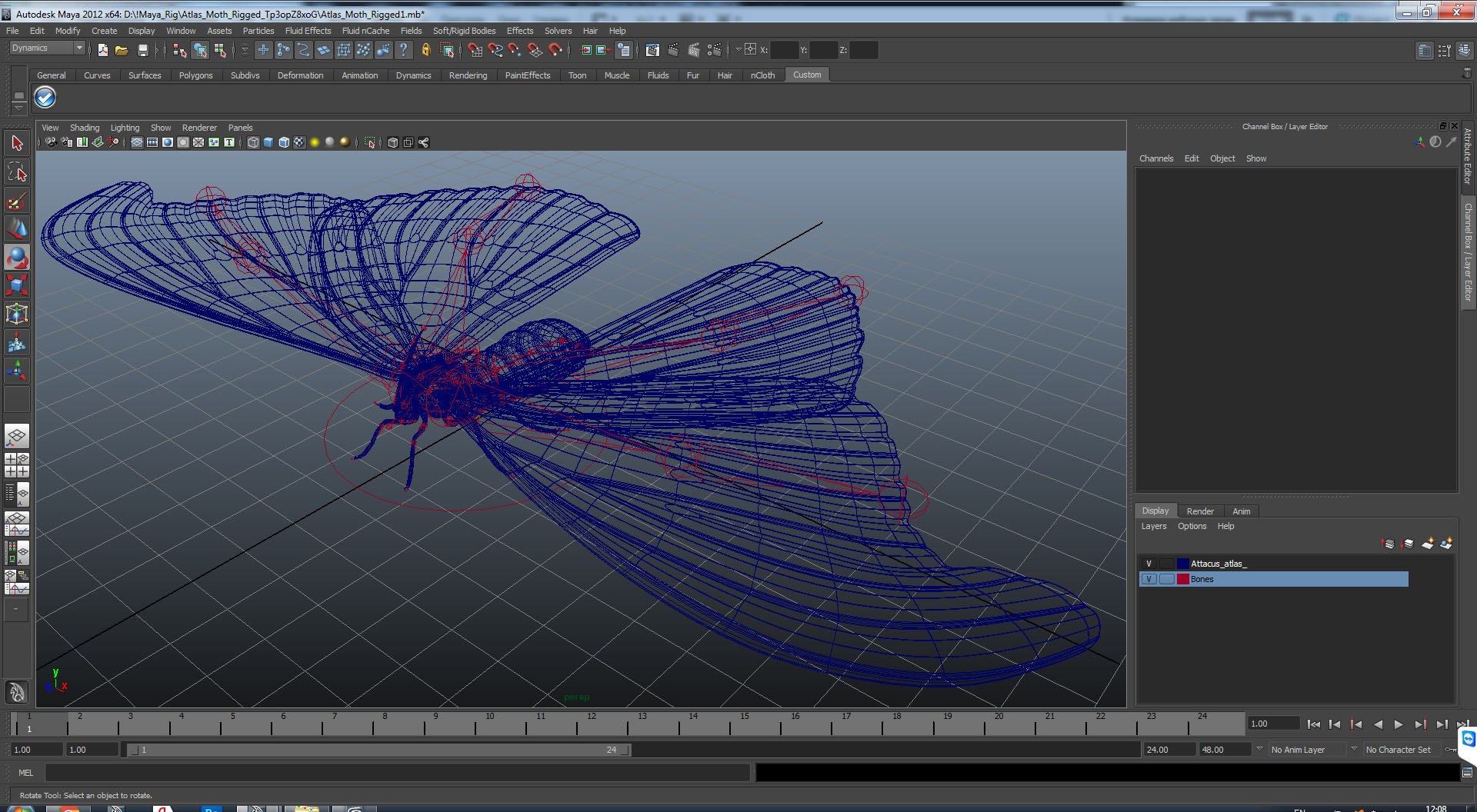 Moths rigged 3D model - TurboSquid 1519404