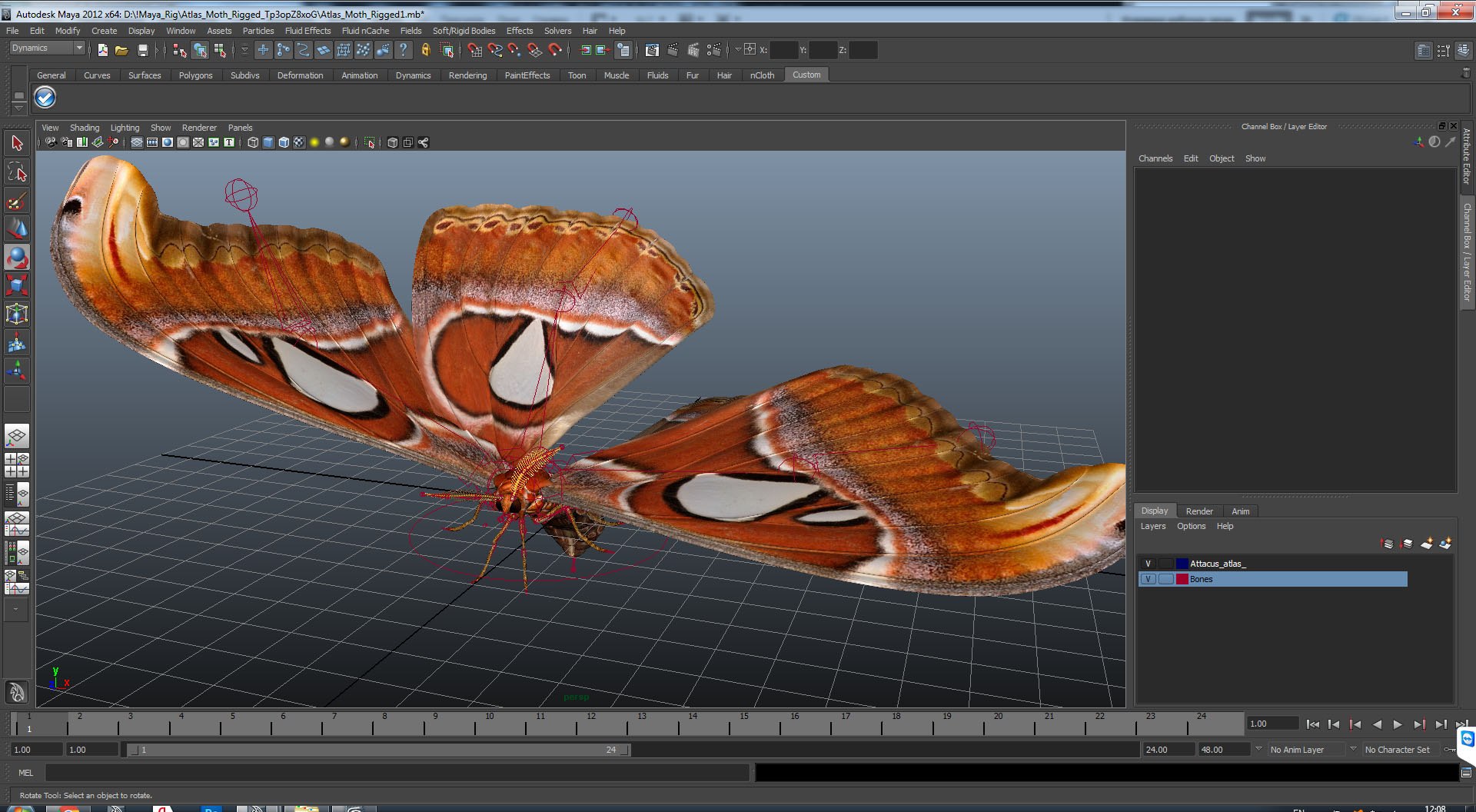 Moths rigged 3D model - TurboSquid 1519404