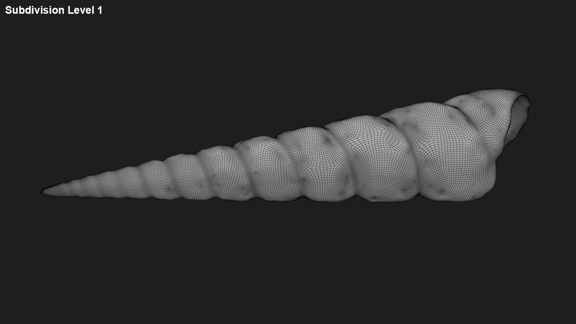 Turritella Communis 3D Model - TurboSquid 2360164