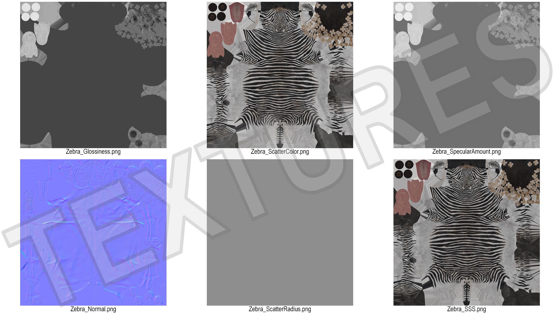 Plains Zebra Eating Fur 3D Model - TurboSquid 2366182