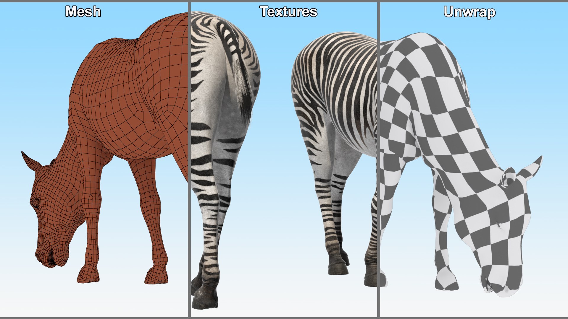 Plains Zebra Eating Fur 3D Model - TurboSquid 2366182