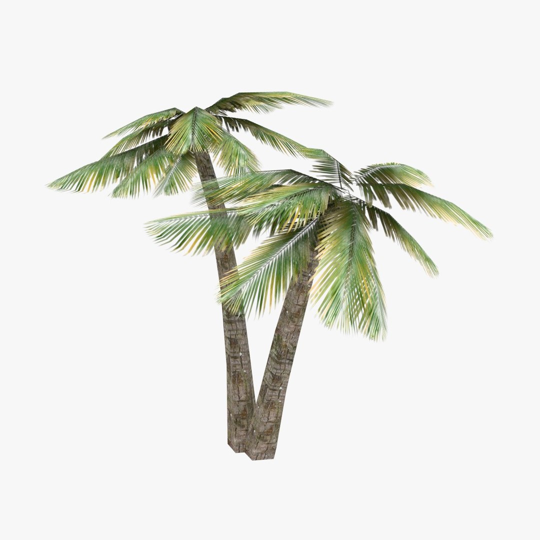 3d palm tree model