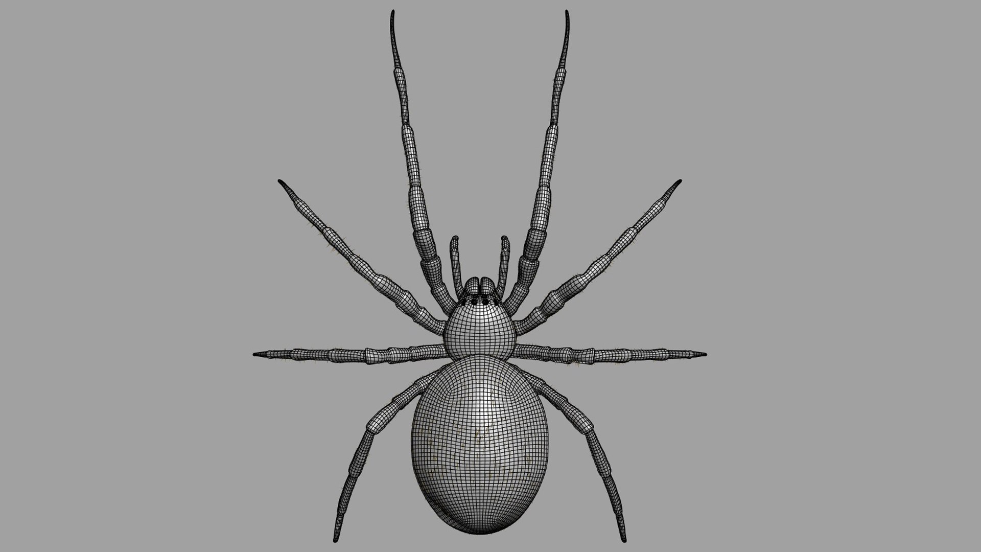 ORB SPIDER 3D MODEL REALISTIC 3D Model - TurboSquid 1846101