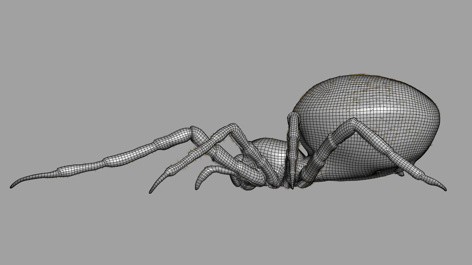 ORB SPIDER 3D MODEL REALISTIC 3D Model - TurboSquid 1846101