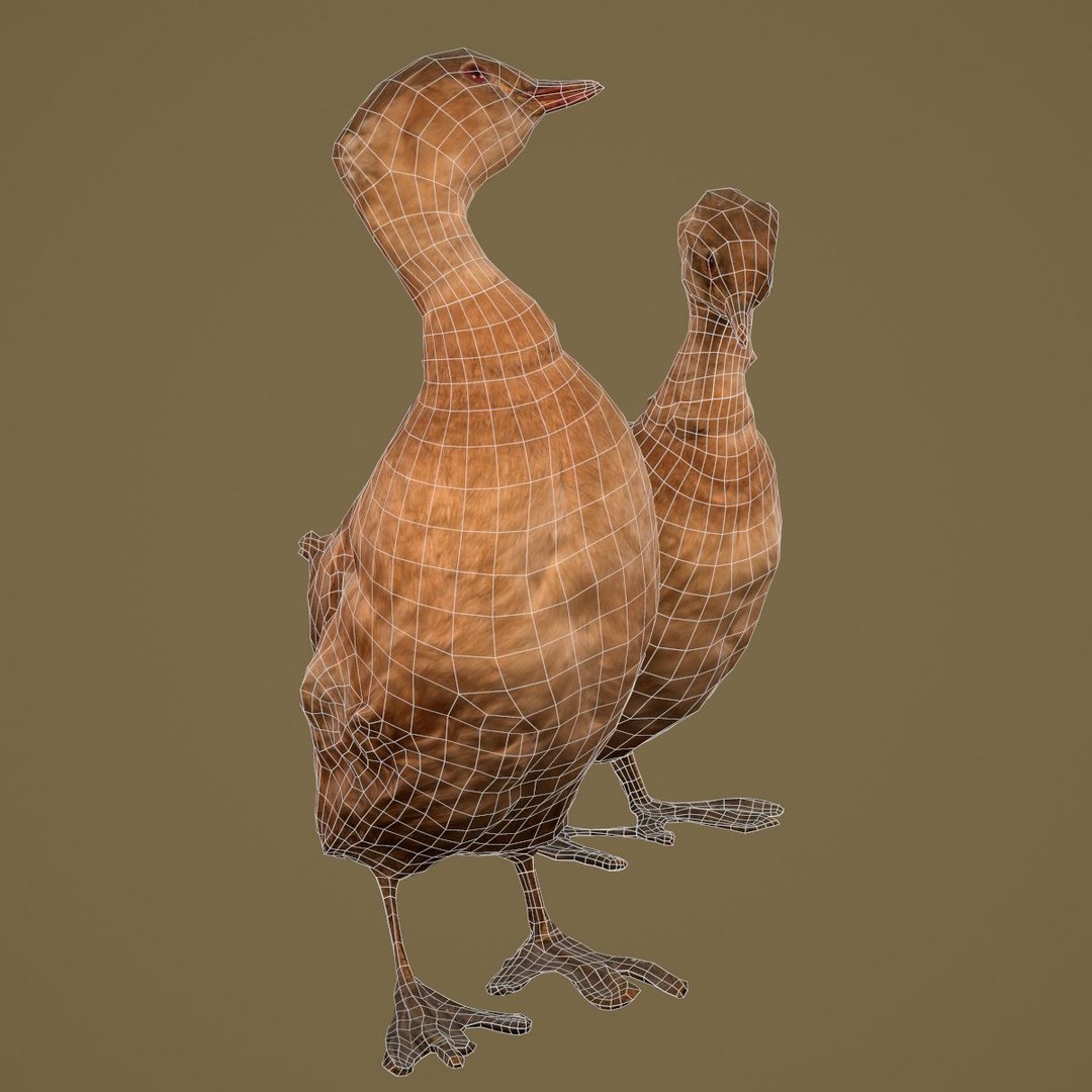 3D Animal Digital Photogrammetry Model - TurboSquid 1162991