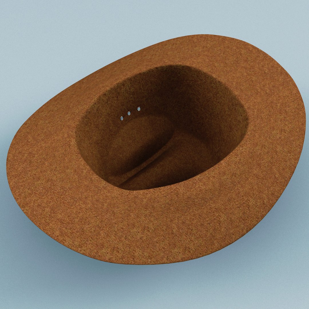 3d Model Of Cowboy Hat V2
