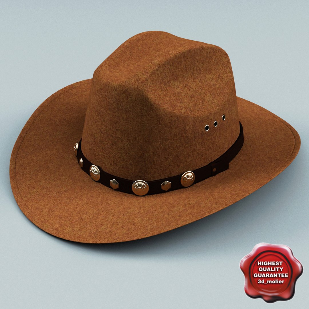 3d Model Of Cowboy Hat V2
