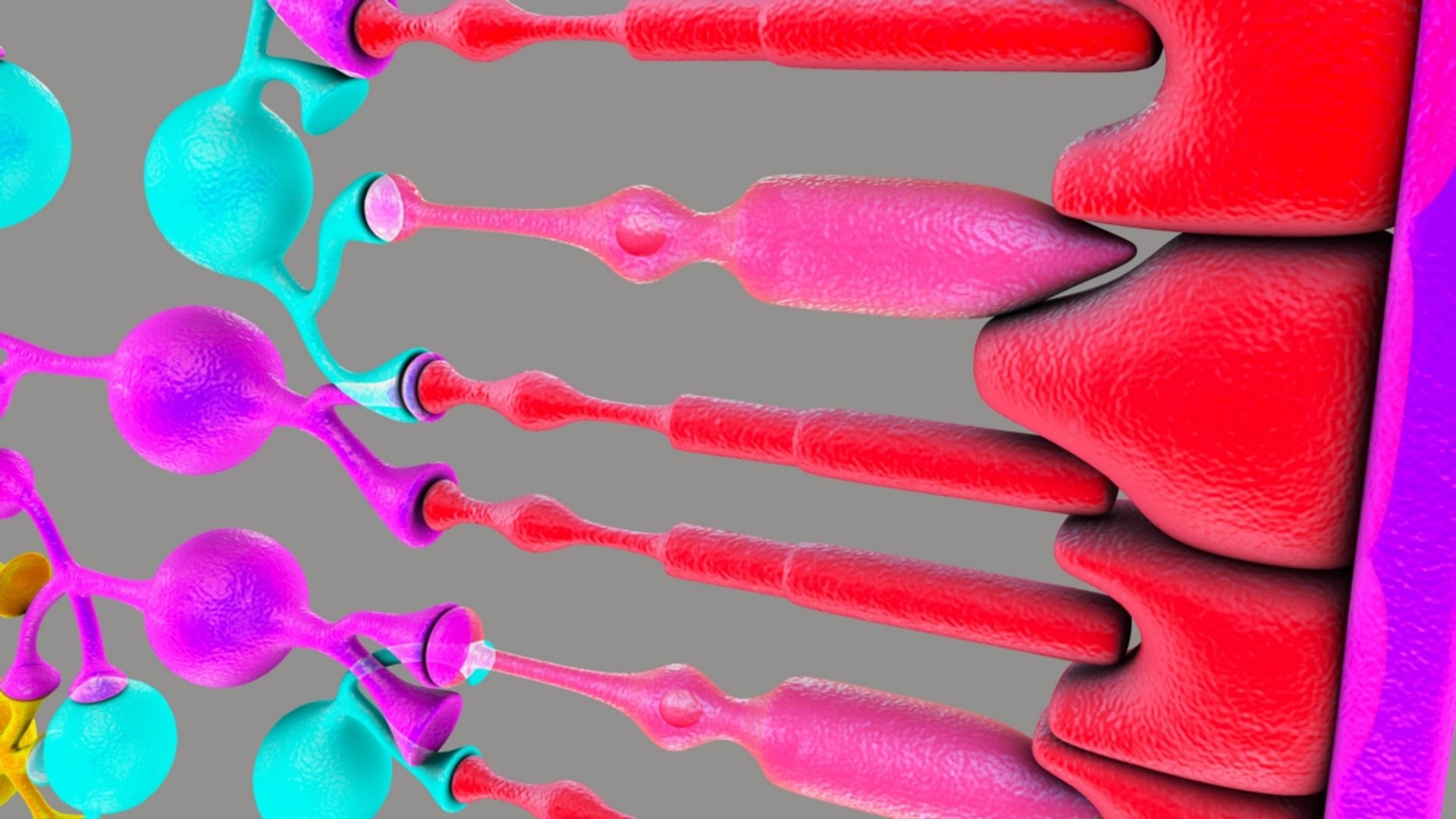 3D model retina vision - TurboSquid 1260271