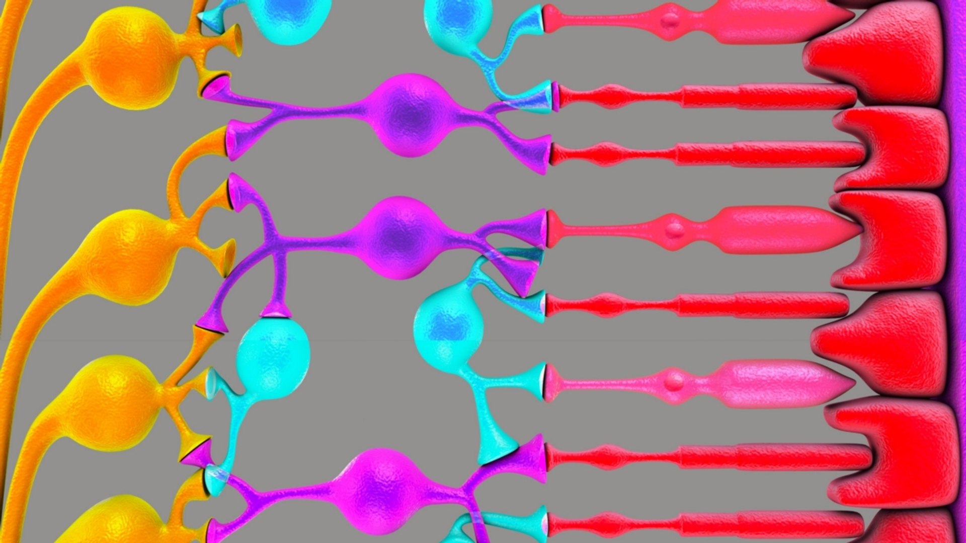 3D model retina vision - TurboSquid 1260271