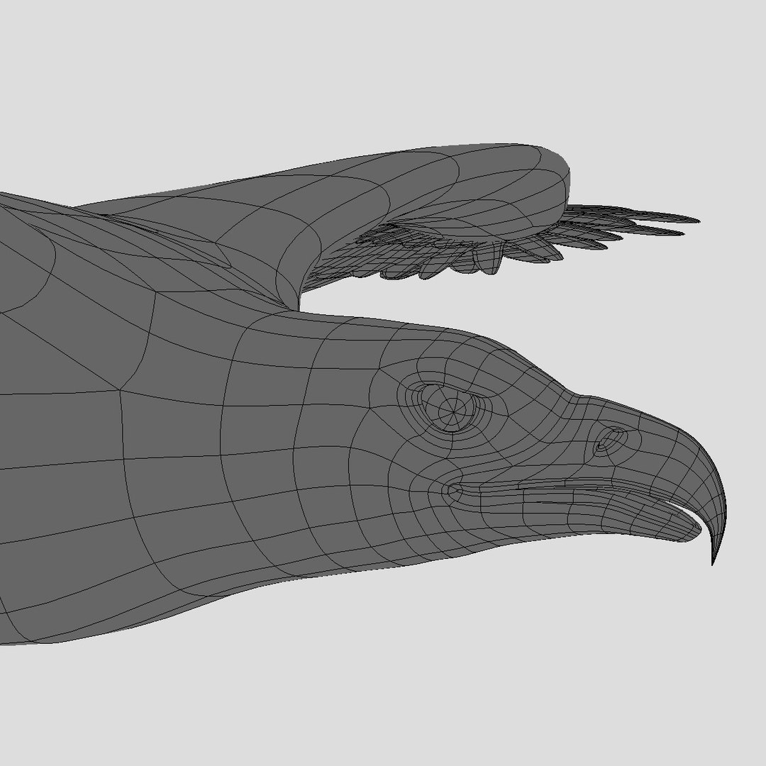 3d Model Of American Bald Eagle