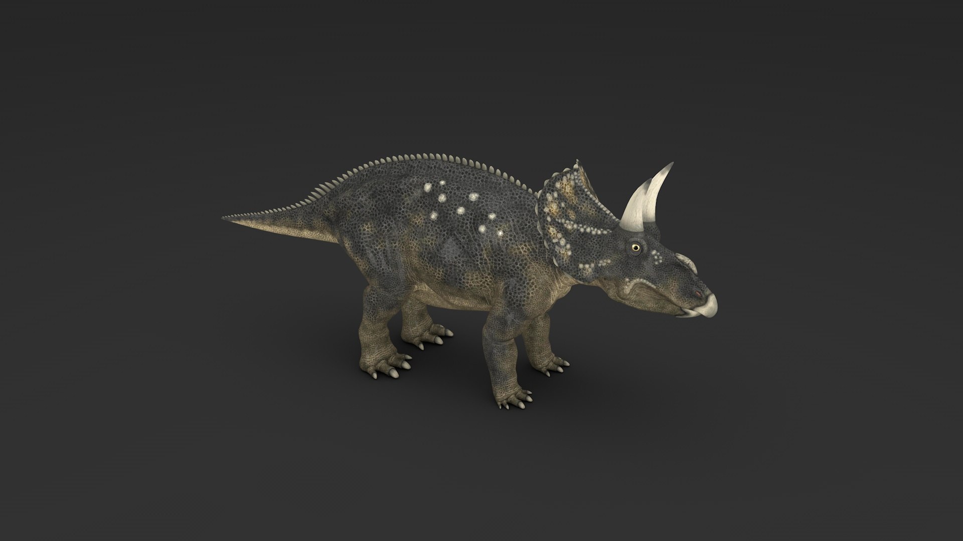Diceratops Dinosaur 3D Model - TurboSquid 2365821