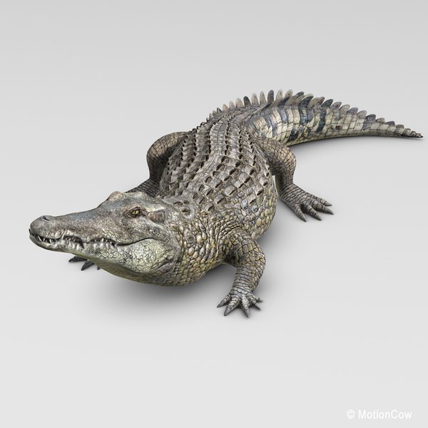 realistic crocodile max