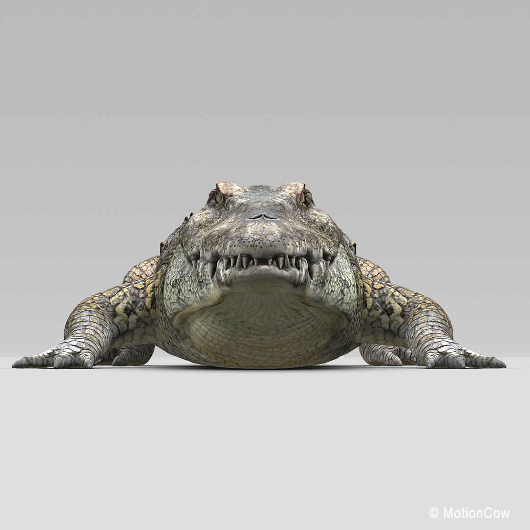 realistic crocodile max