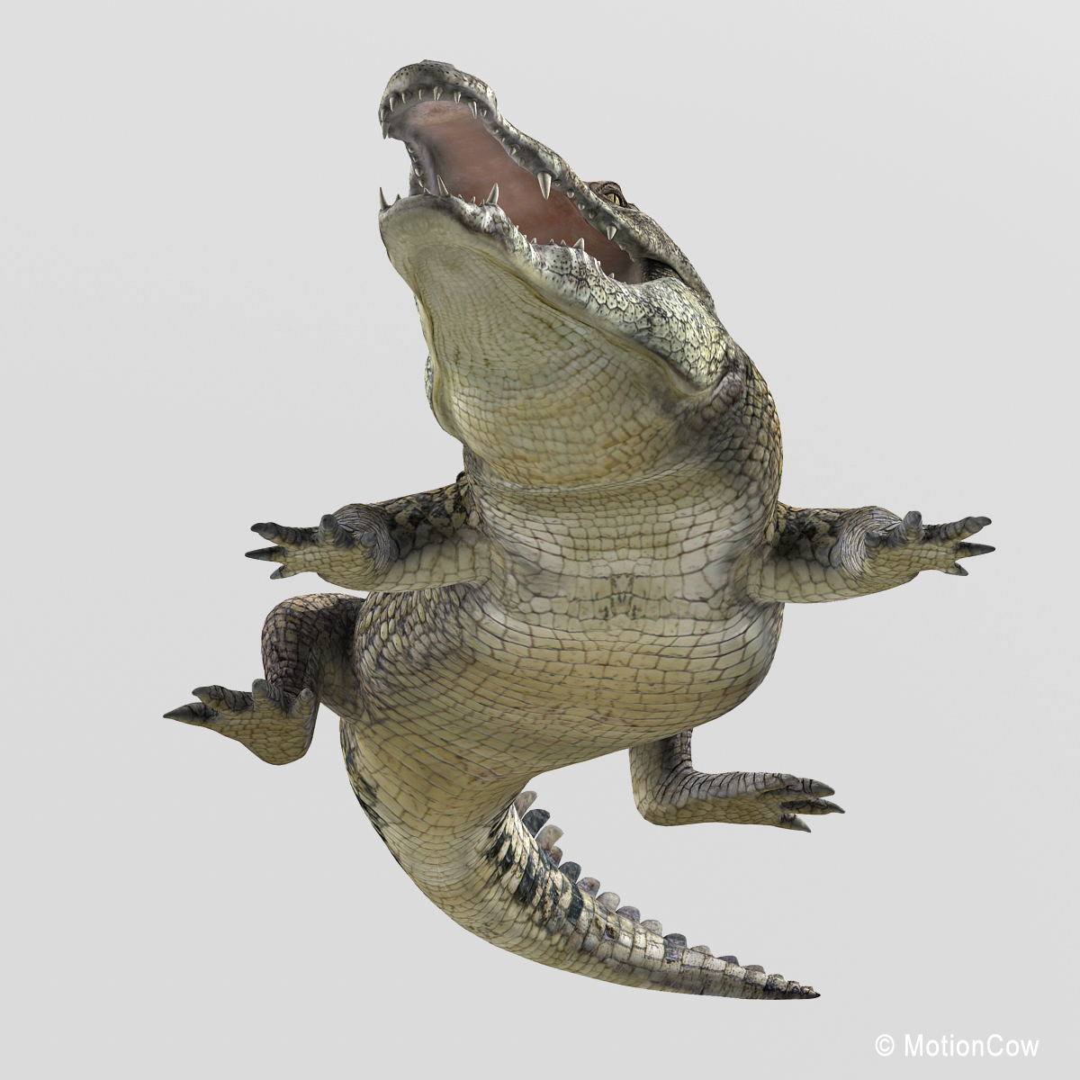 realistic crocodile max