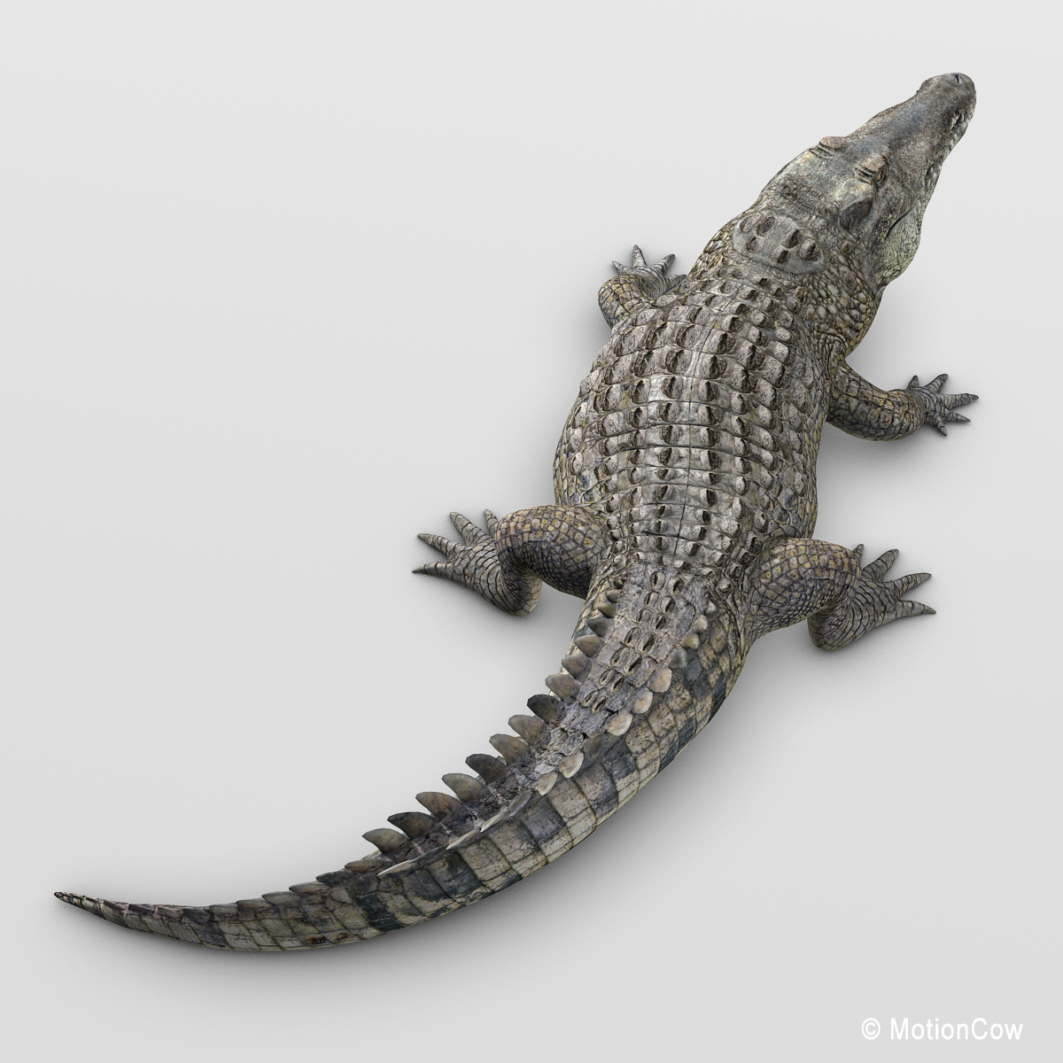 realistic crocodile max