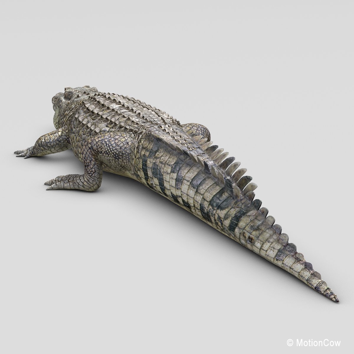 realistic crocodile max