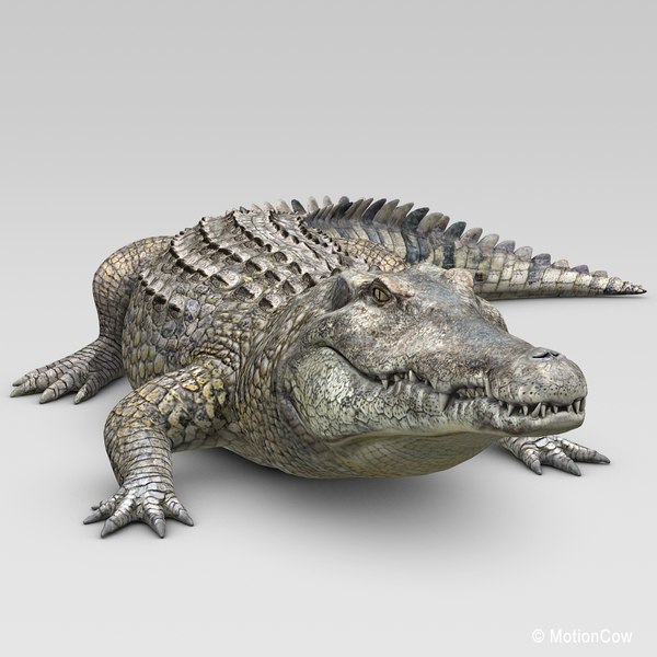 realistic crocodile max