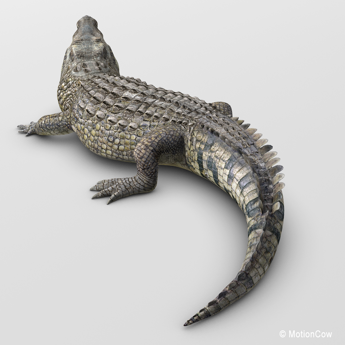 realistic crocodile max