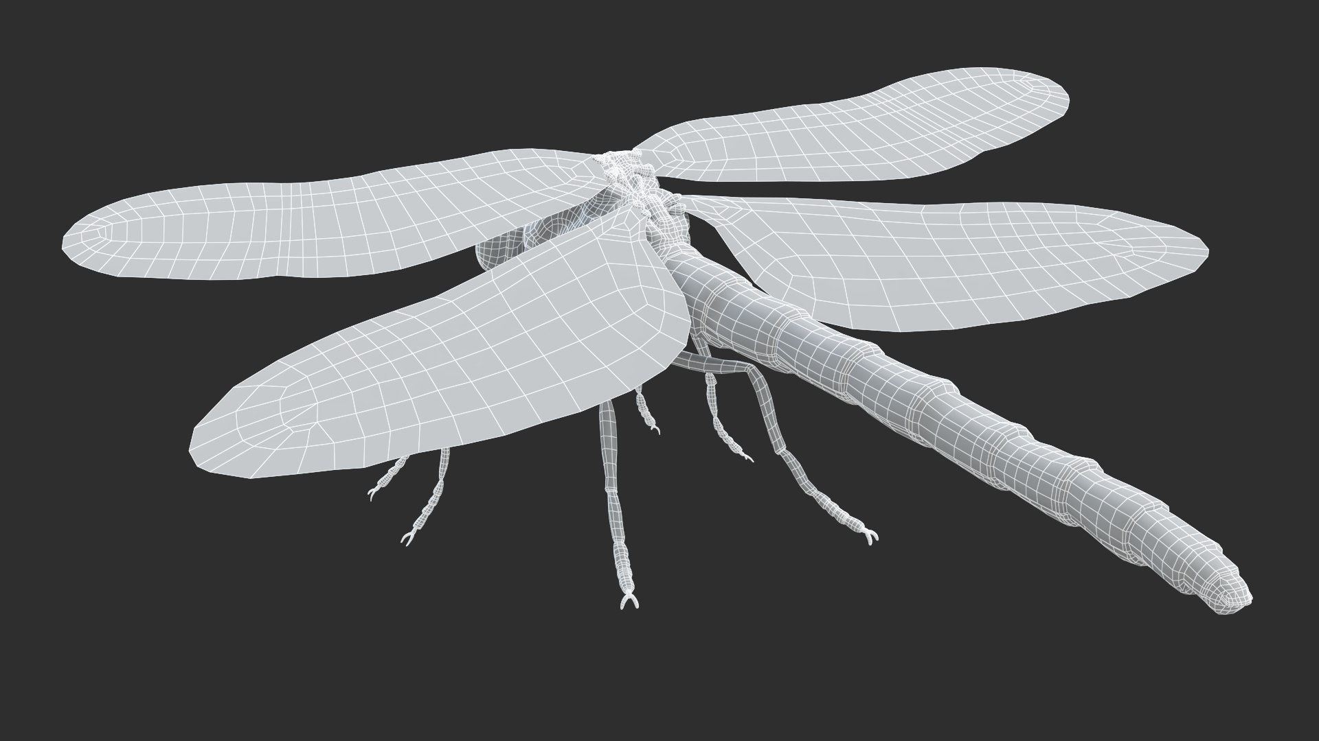 3D Dragonfly Static - TurboSquid 2007082