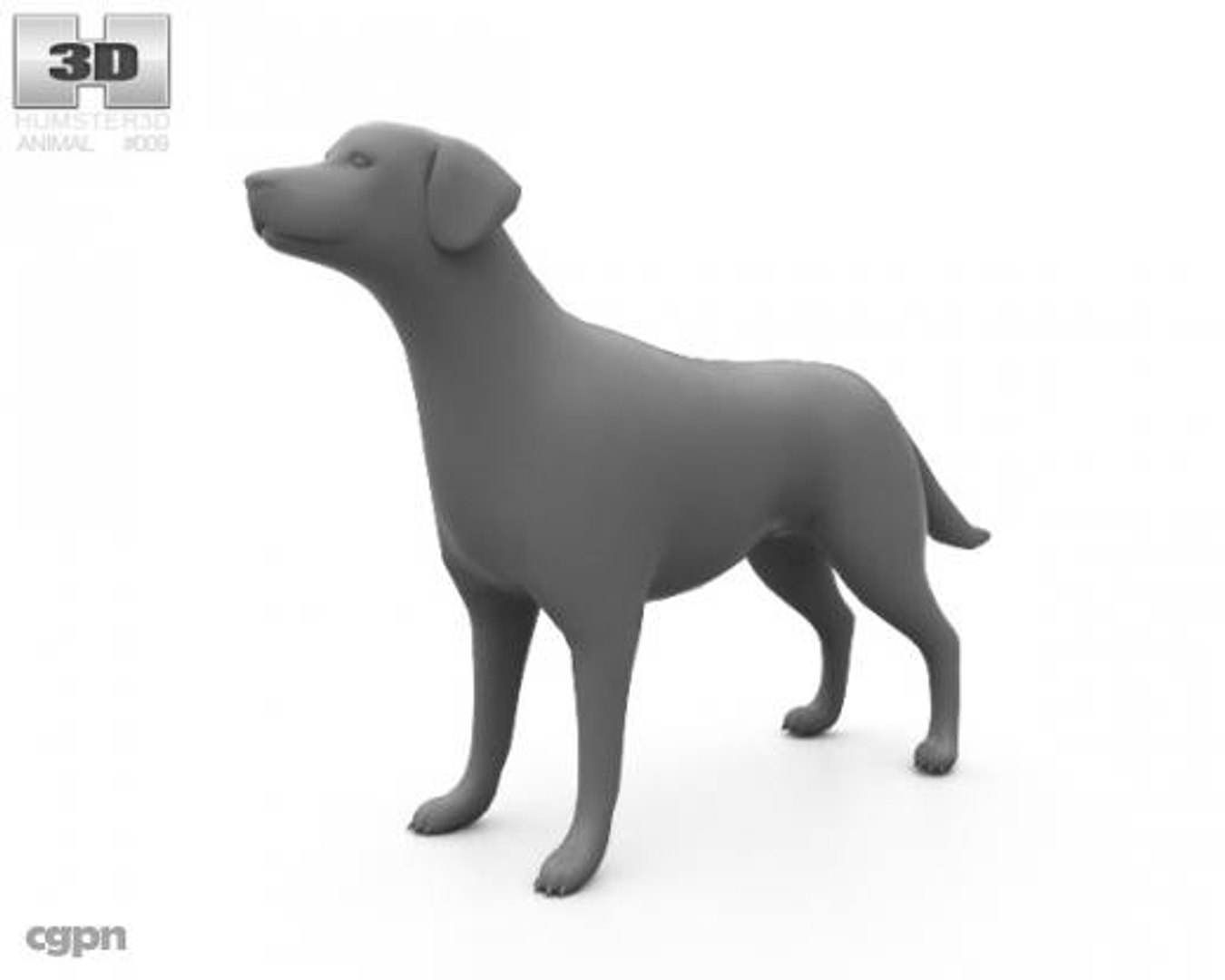 3d Dog Domestic Labrador Model
