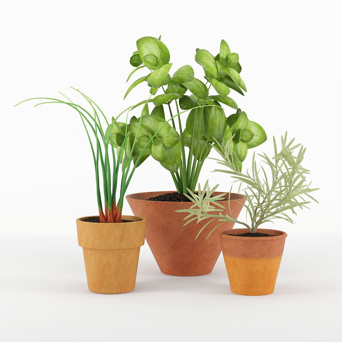 kitchen plants 3d max