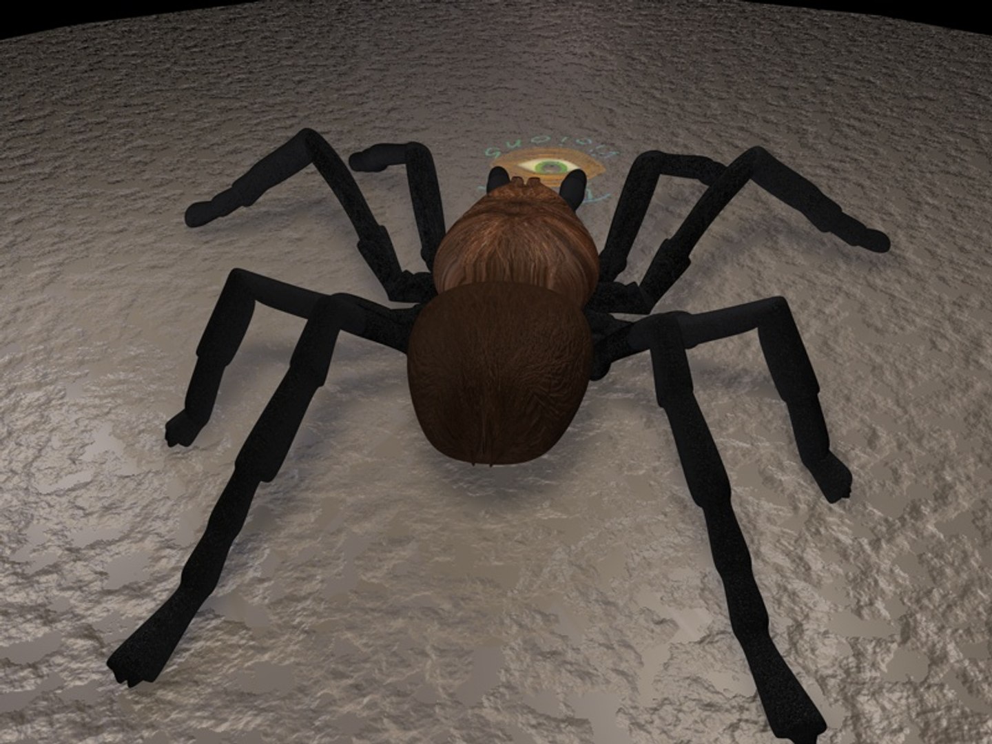 3d tarantula spider model