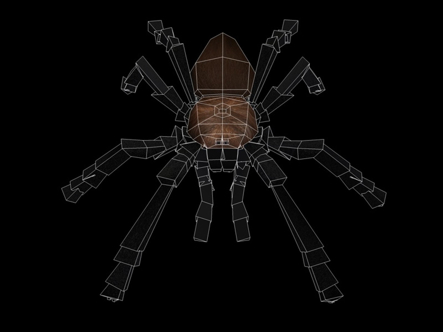 3d tarantula spider model