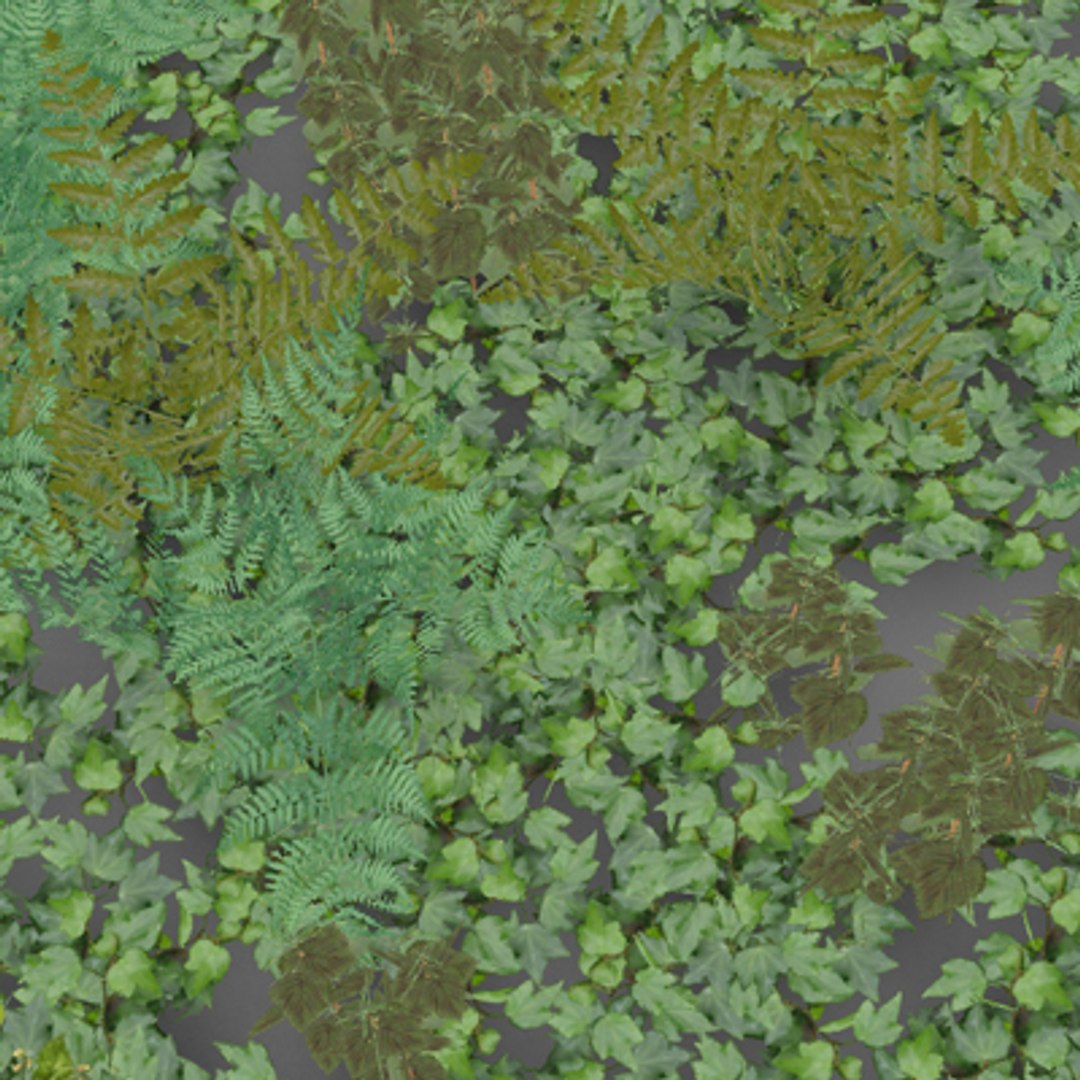 Max Forest Plants - 2