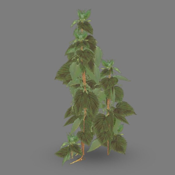 max forest plants - 2