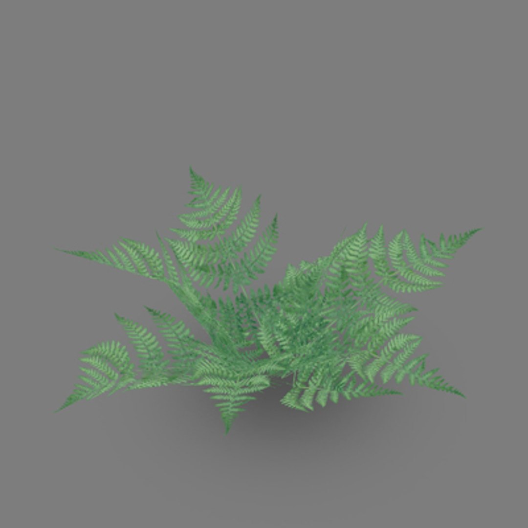 Max Forest Plants - 2