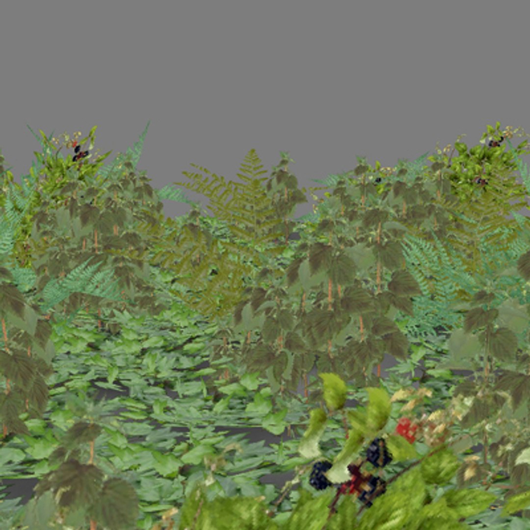 max forest plants - 2