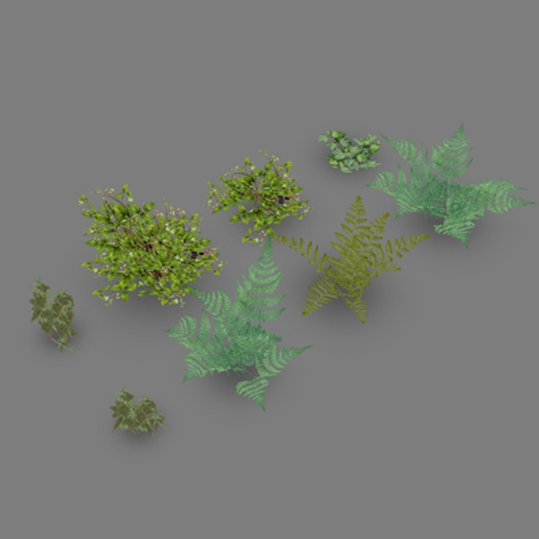 Max Forest Plants - 2