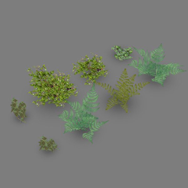 max forest plants - 2