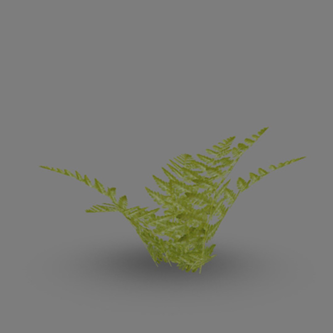 Max Forest Plants - 2