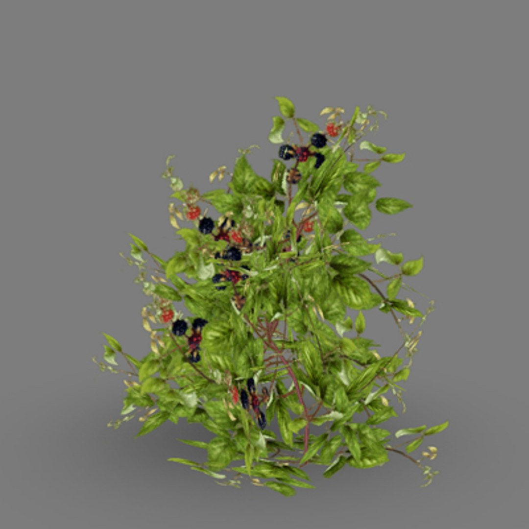 Max Forest Plants - 2