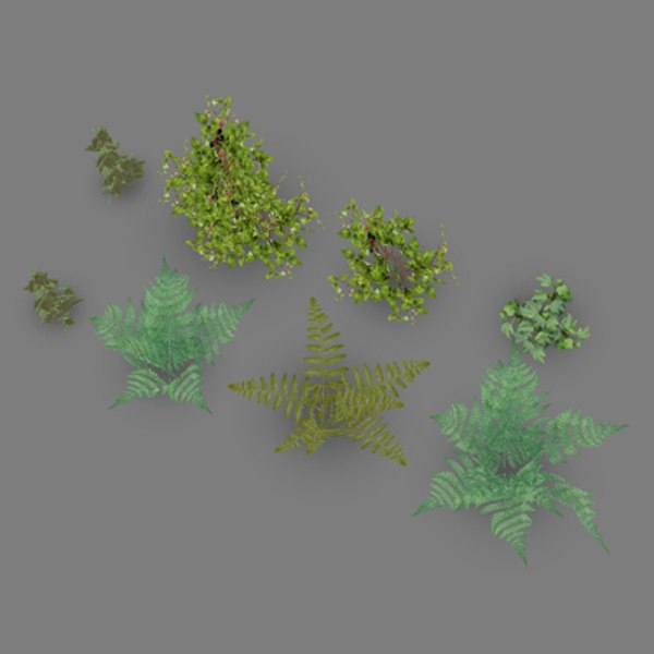 max forest plants - 2