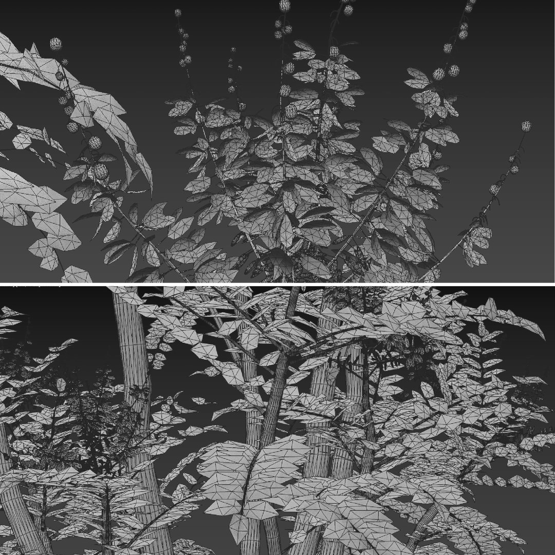 Set Of Mahonia Media Plant Oregon Grape 2 Plants 3D - TurboSquid 1954429