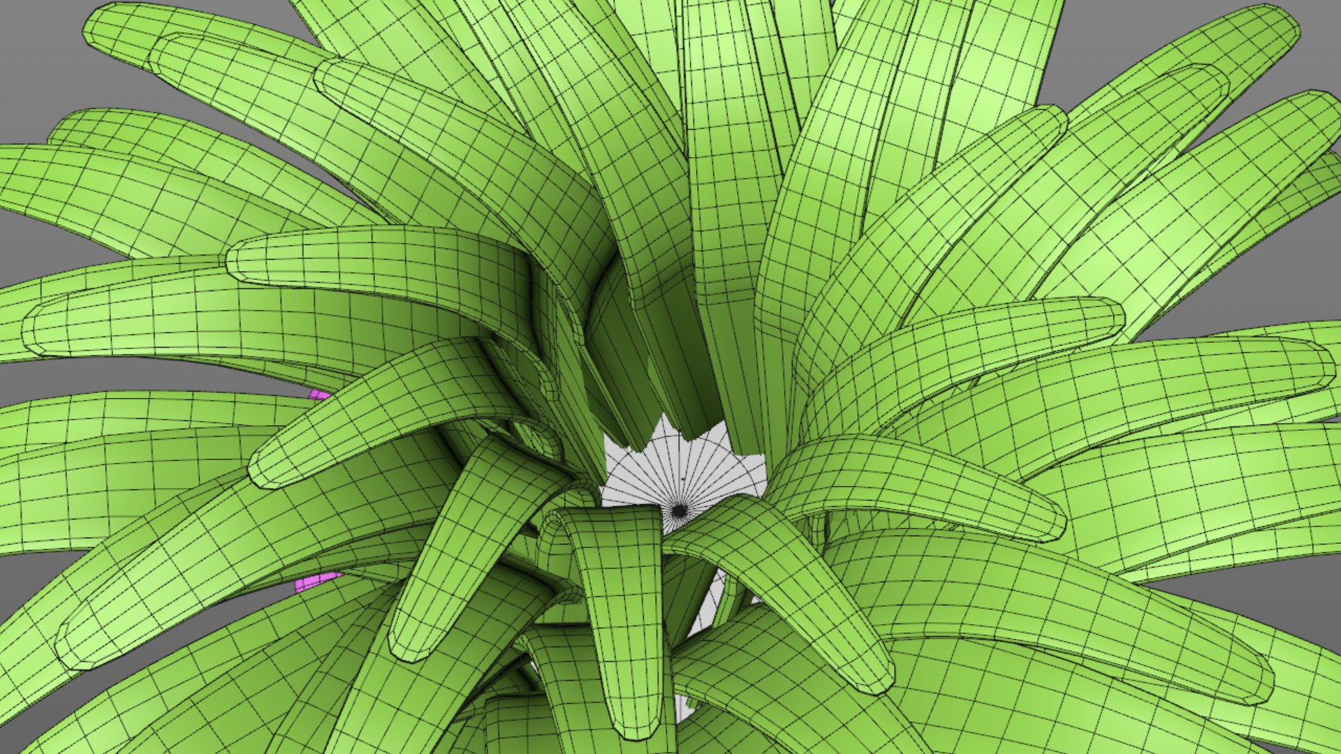 3D Model Green Flower - TurboSquid 1936047