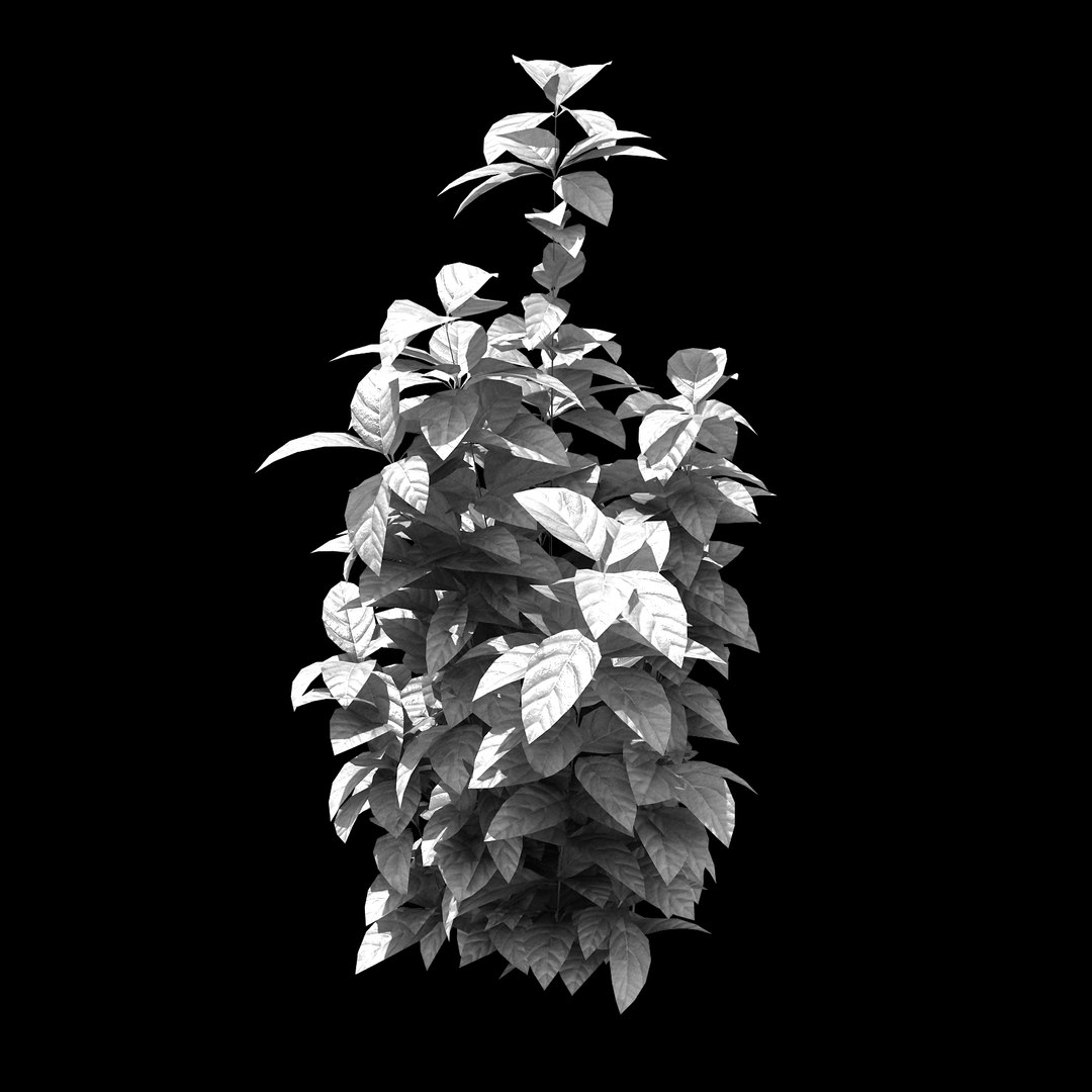 3D Small Plants 10 - TurboSquid 1449296