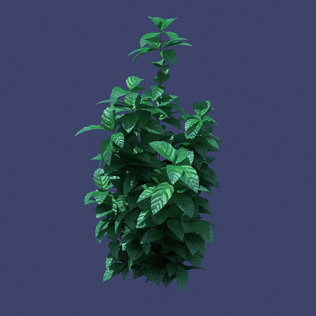 3D Small Plants 10 - TurboSquid 1449296