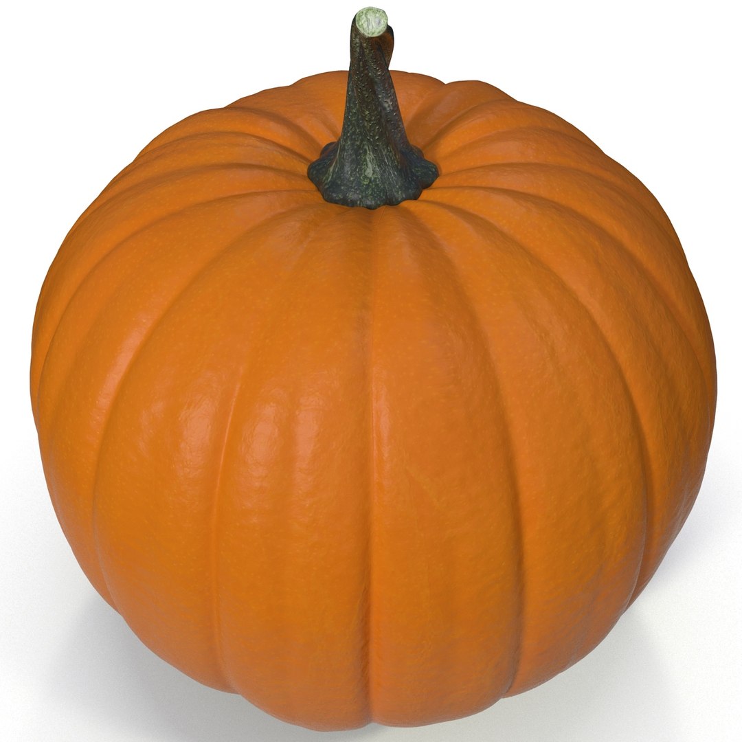 3d Pumpkin 2 Model