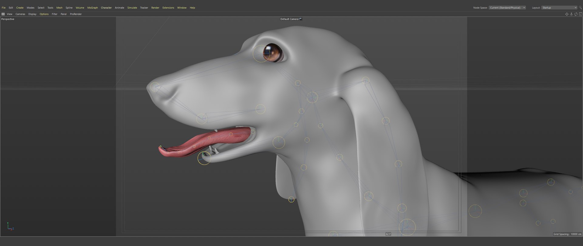 3D Dachshund Rigged L1866 - TurboSquid 1970583