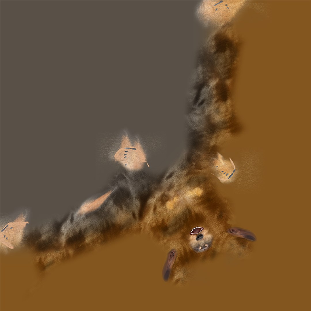 3D Dachshund Rigged L1866 - TurboSquid 1970583