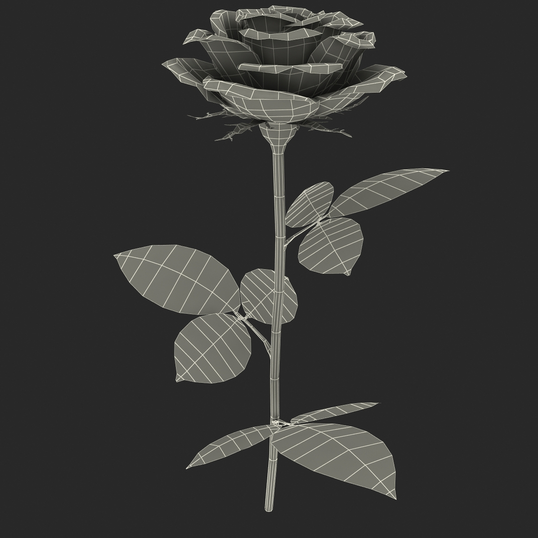 rose flower 2 lwo