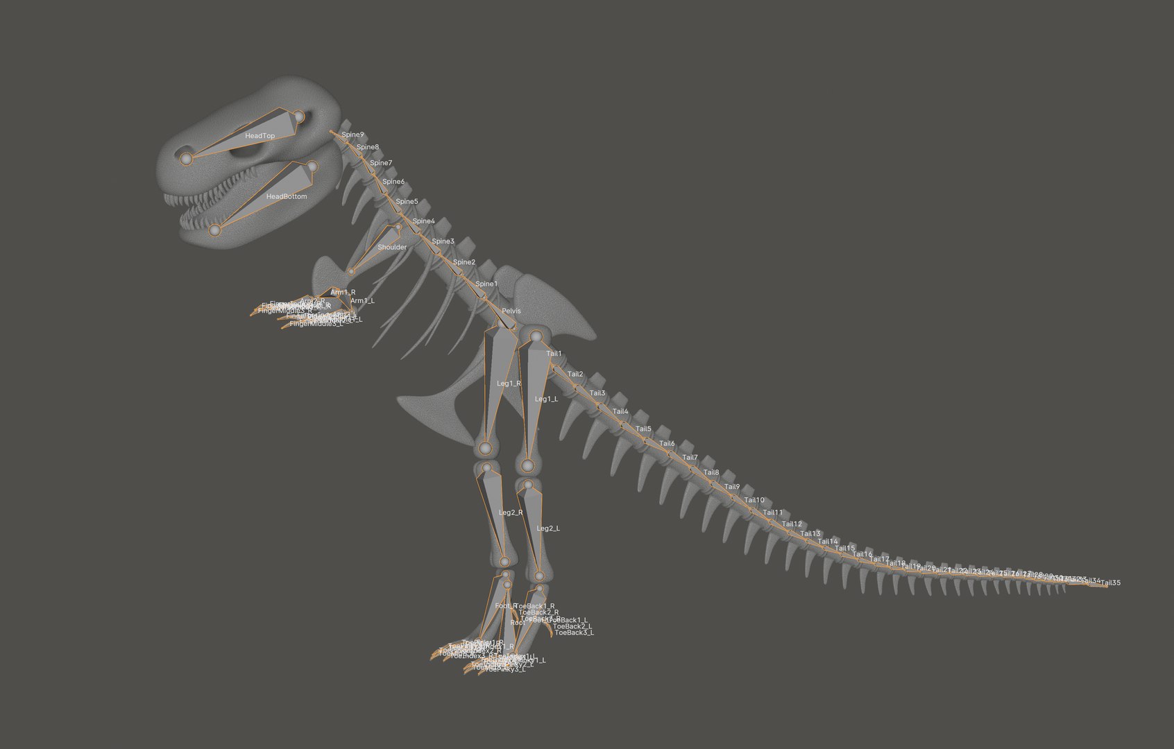 Tyrannosaurus Rex Fossil 3D Model - TurboSquid 2198684
